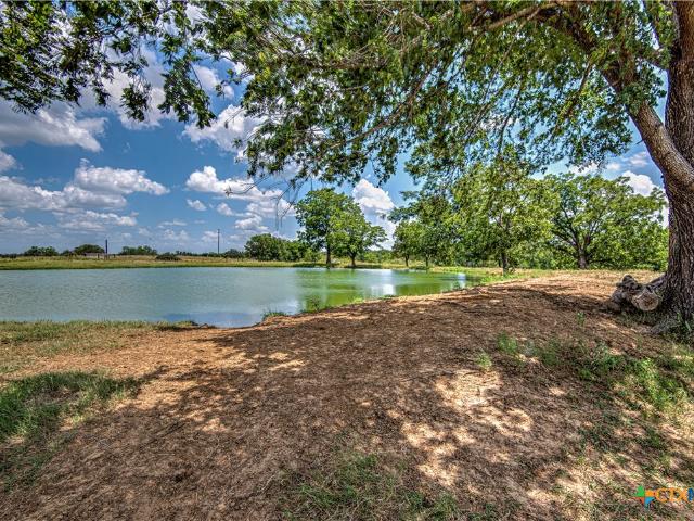 2162 County Road 304