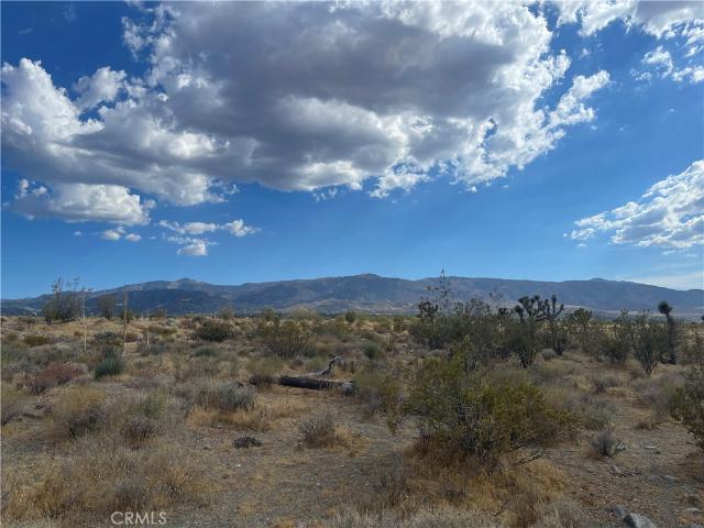 2163 Calaveras
