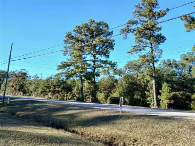 216 CELESTE RD, SARALAND, AL 36571