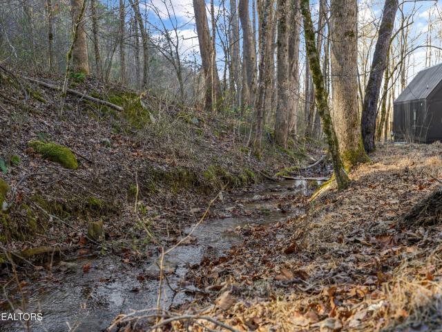 216 Braydens Way, Gatlinburg, TN 37738 | MLS #1319