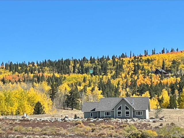 216 Glacier Ridge Rd, Alma, CO 80420 | MLS #3981