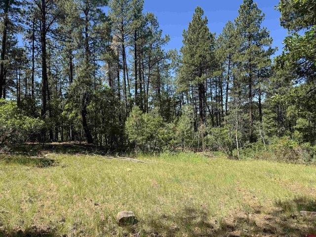 216 Fawn Dr, Bayfield, CO 81122