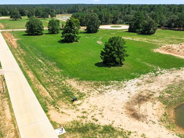 216 Hidden Oak Dr, Hockley, TX 77447 | MLS #83421