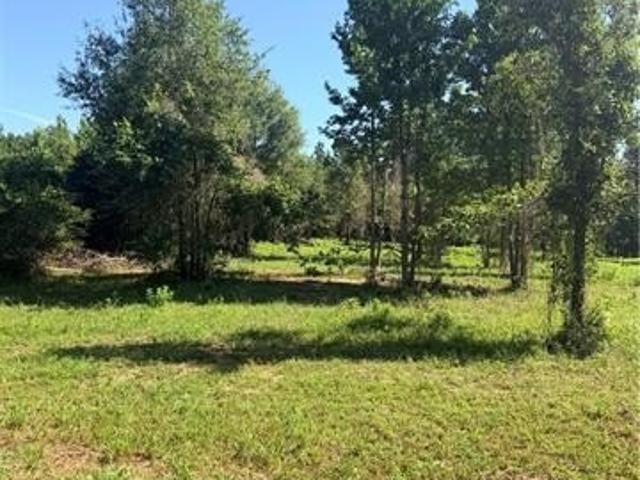216 Hughart Rd Lot 5, Pollock, LA 71467