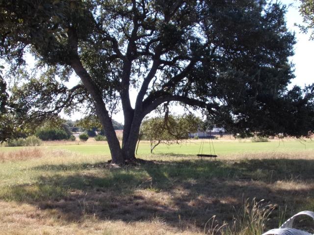 216 N Calvin Barrett, Blanco, TX 78606 | MLS #1896