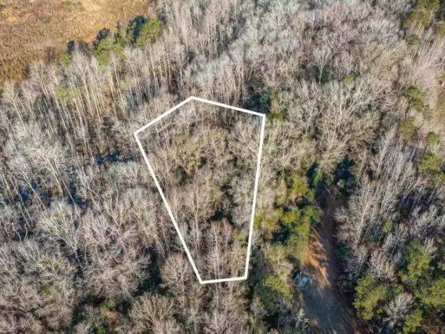 216 Sunny Acres Dr, Eastover, SC 29044 MLS 600389