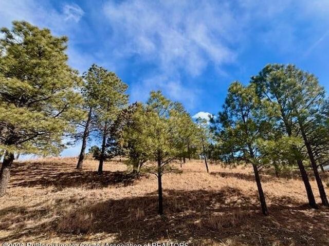 216 Sunny Slope Dr Lot 14, Ruidoso, NM 88345