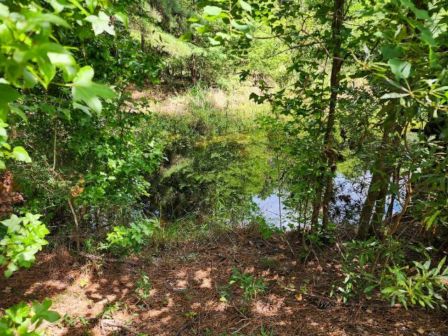 216 Private Road 6046