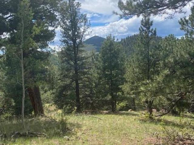 216 Troy Dr, Cripple Creek, CO 80813 | MLS #5715