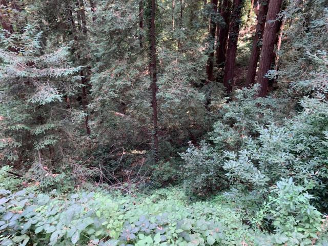 21745 lindbergh Dr, Los Gatos, CA 95033 | MLS #ML81912 | Compass