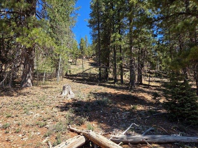 2175 E Sleepy Meadow Ln, Duck Creek Village, UT 84762