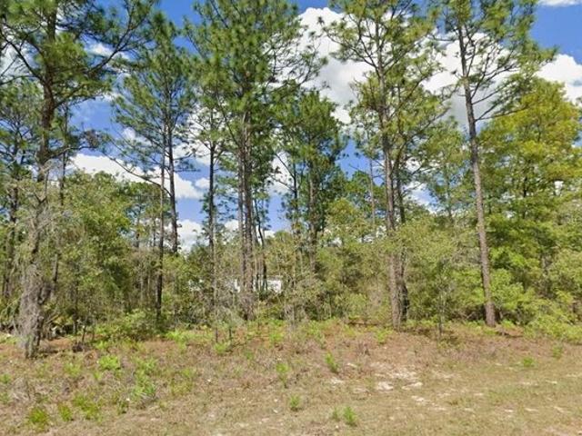 2175 W Galaxy Ln, Citrus Springs, FL 34434