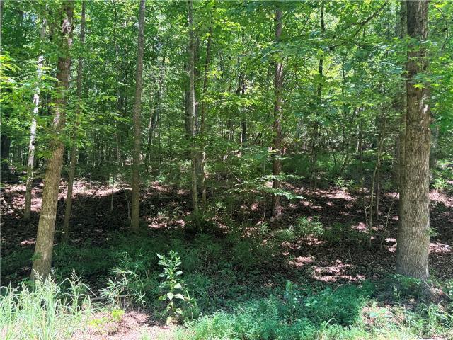 2176 LOT N Sundew Drive