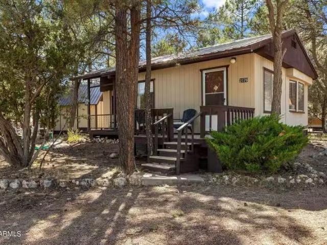 2176 TENDERFOOT Trail, Overgaard, AZ 85933 658145748