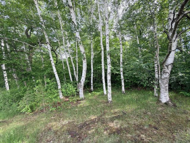 21781 Trestle Ridge Road