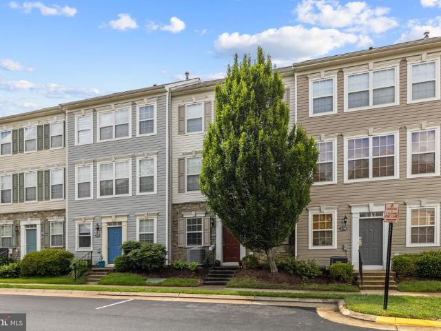 21790 Dragons Green Square