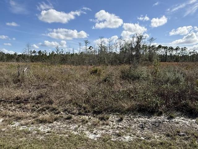 21703 Beech Vly, Altha, FL 32421