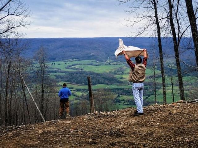 2171 Overlook Trl Lot 26, Spring City, TN 37381