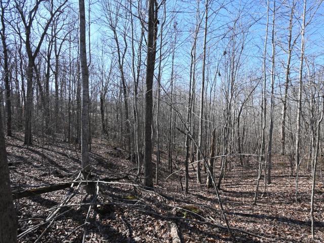 2172 Airport Ridge Rd