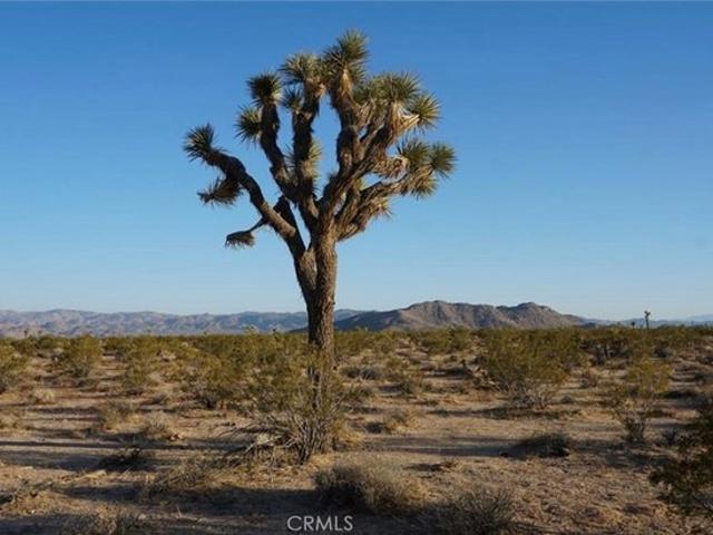 2172 Conejo Ave, Joshua Tree, CA 92252