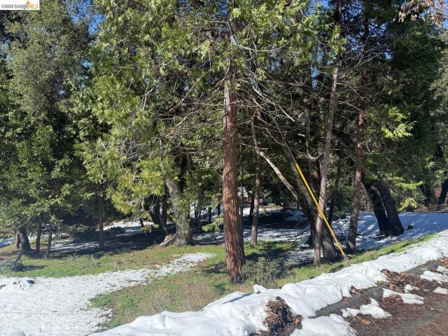 21730 Wasatch Mountain RD