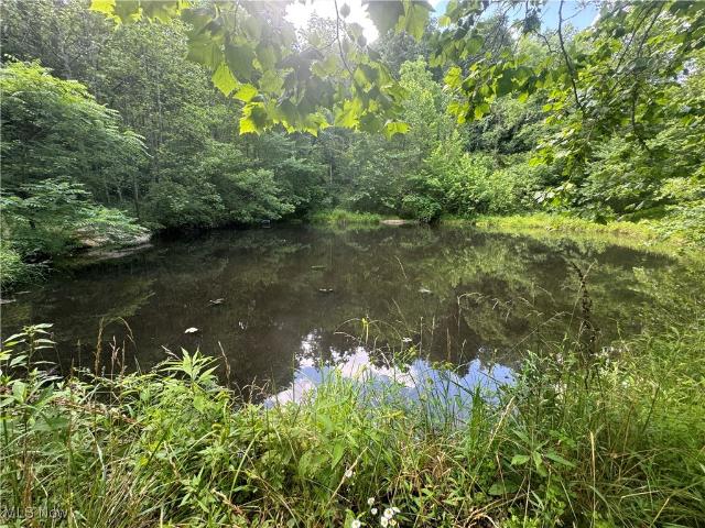 21730 County Road 9