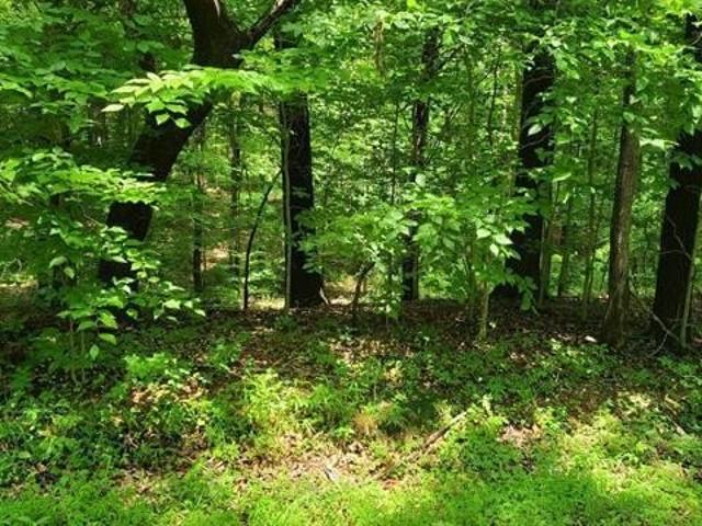 217 2 Sand Dr, Murray, KY 42071