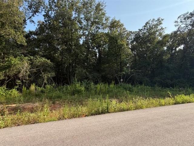 217 County Road 6311, Dayton, TX 77535