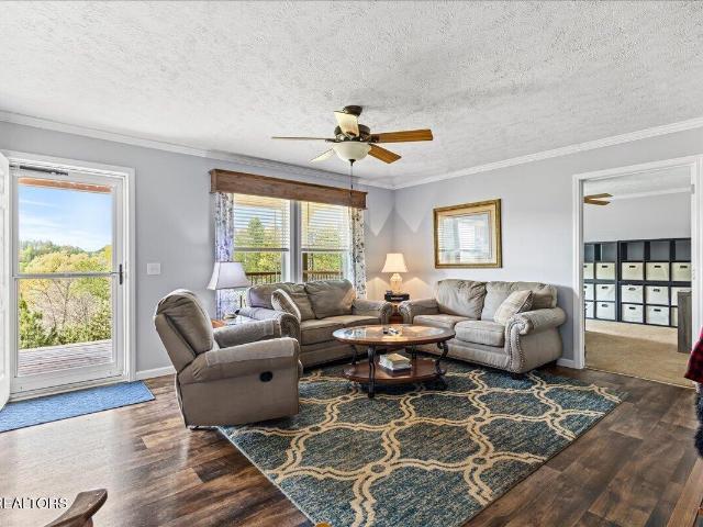 217 Countryside Lane