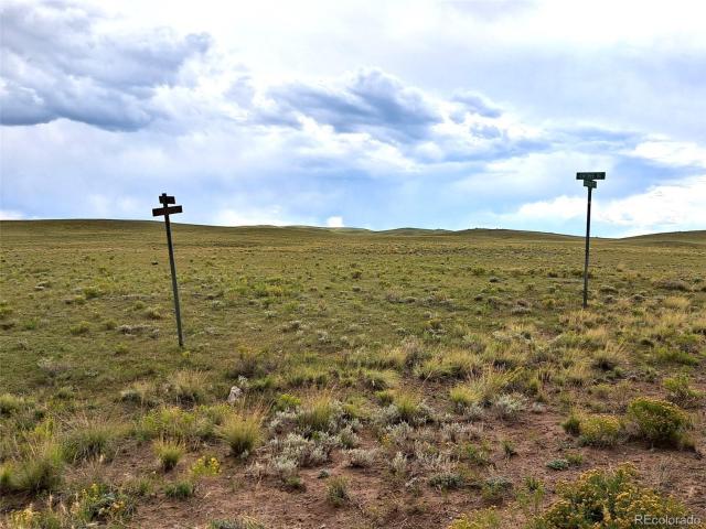 217 Black Gatto Trail