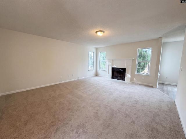 217 Branchview Drive