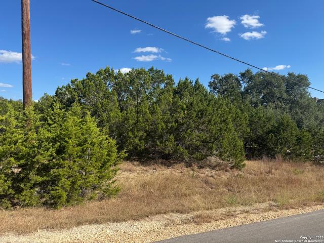 217 Breeze Point, Fischer, TX 78623 | MLS #1916