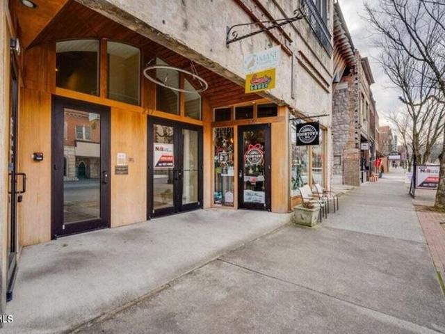 217 Broad St Apt 300, Kingsport, TN 37660