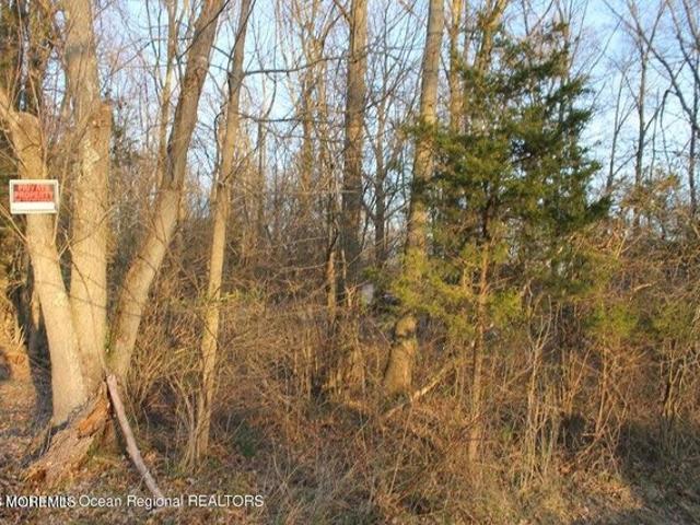 217 Brookville Rd, Lacey, NJ 08734