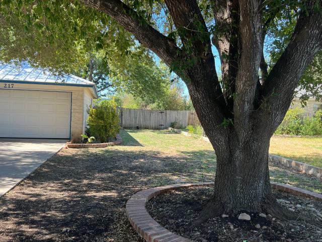 217 Green Pasture, Hutto, TX 78634 | MLS #9029
