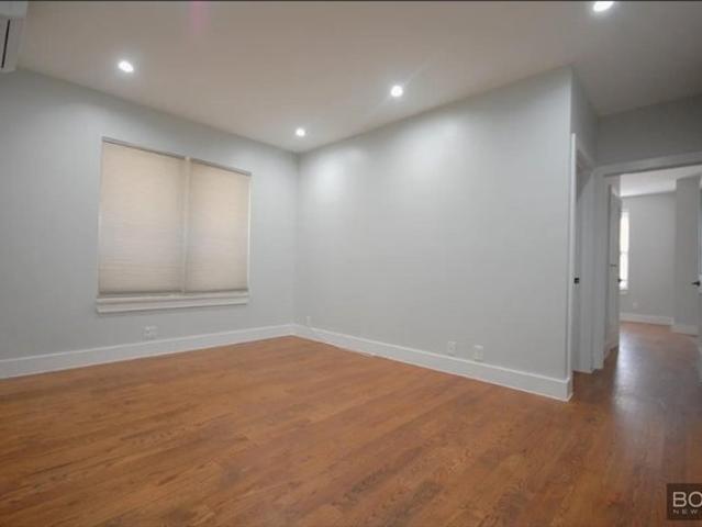 217 E 96th St Unit Multi, Brooklyn, NY 11212