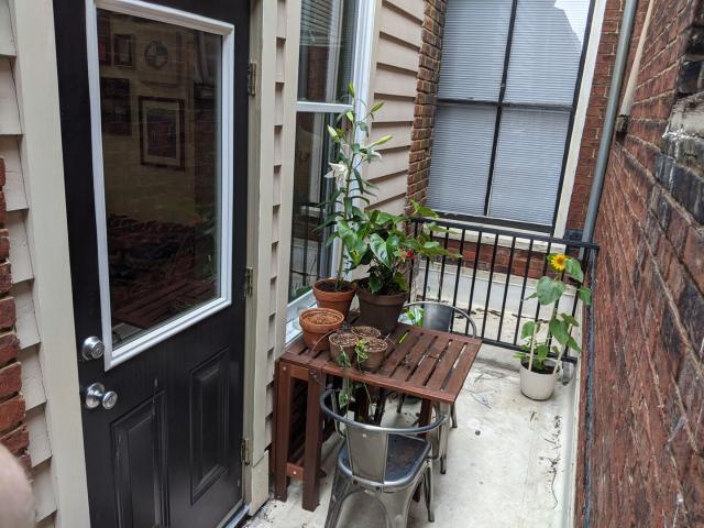 217 E Grace St