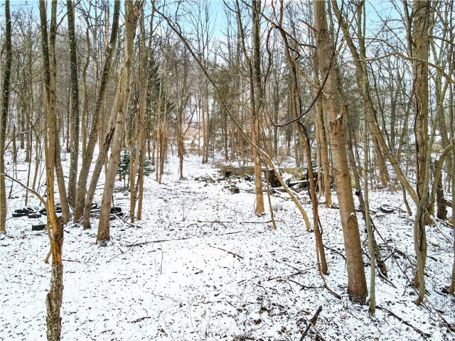 217 Klein Rd