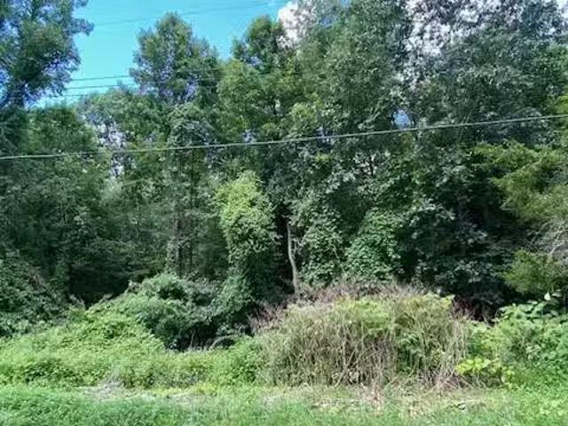 217 KLEIN RD, GLENSHAW, PA 15116 Farm For Sale MLS# 1660238