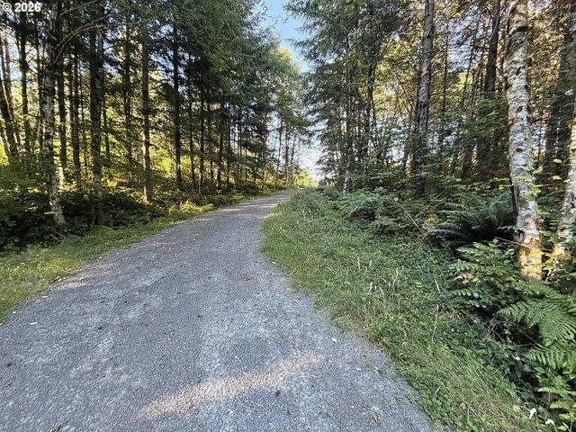 217 Ham Rd, Amboy, WA 98601