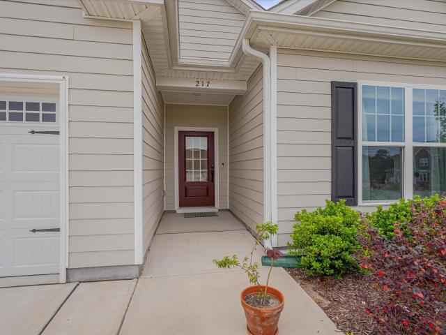 217 Lily Oak Drive