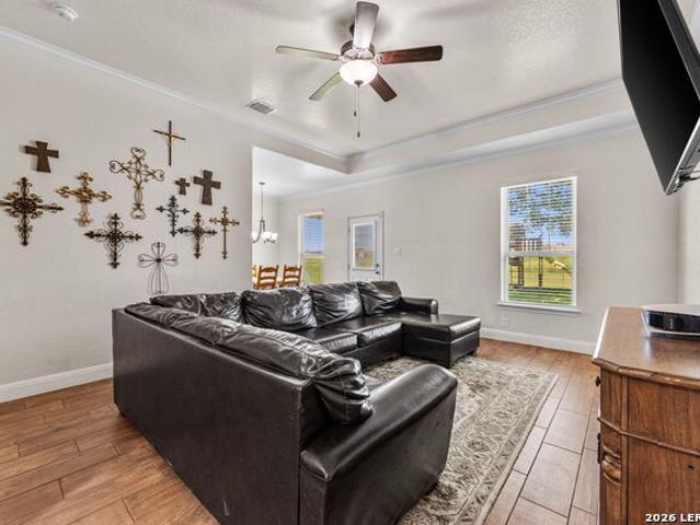 217 Meadow