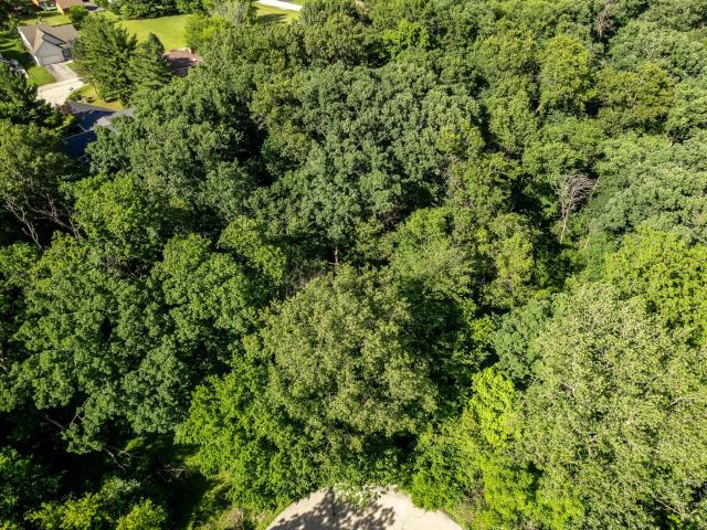 217 New Forest Road SW