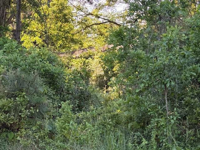217 S Broad Street