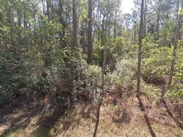 217 SE 2nd St, Georgetown, FL 32139 MLS O6191778