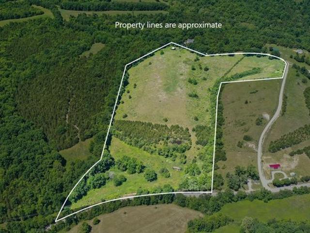 217 Sergent Petrey Lndg, Falmouth, KY 41040
