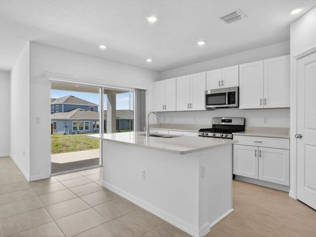 217 Streamwater Way, Groveland, FL 34736
