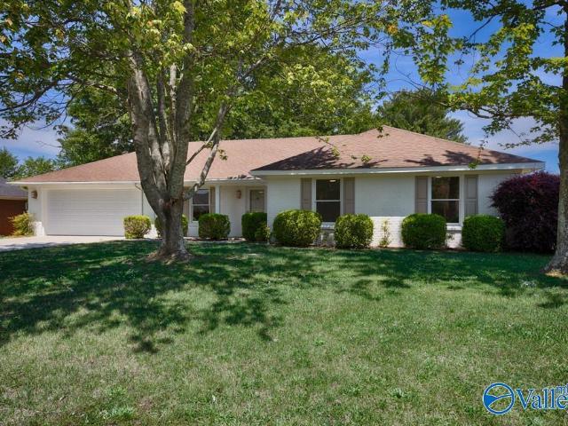 217 Perennial Way