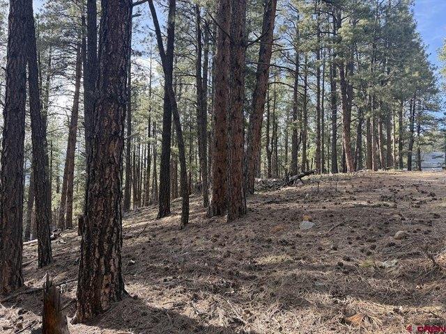 217 Pine Top Dr, Bayfield, CO 81122