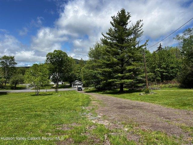 217 Platte Clove Rd, Hunter, NY 12442
